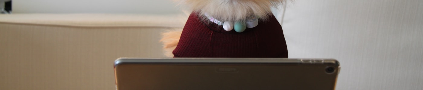 iCoder - Heaven for programmers